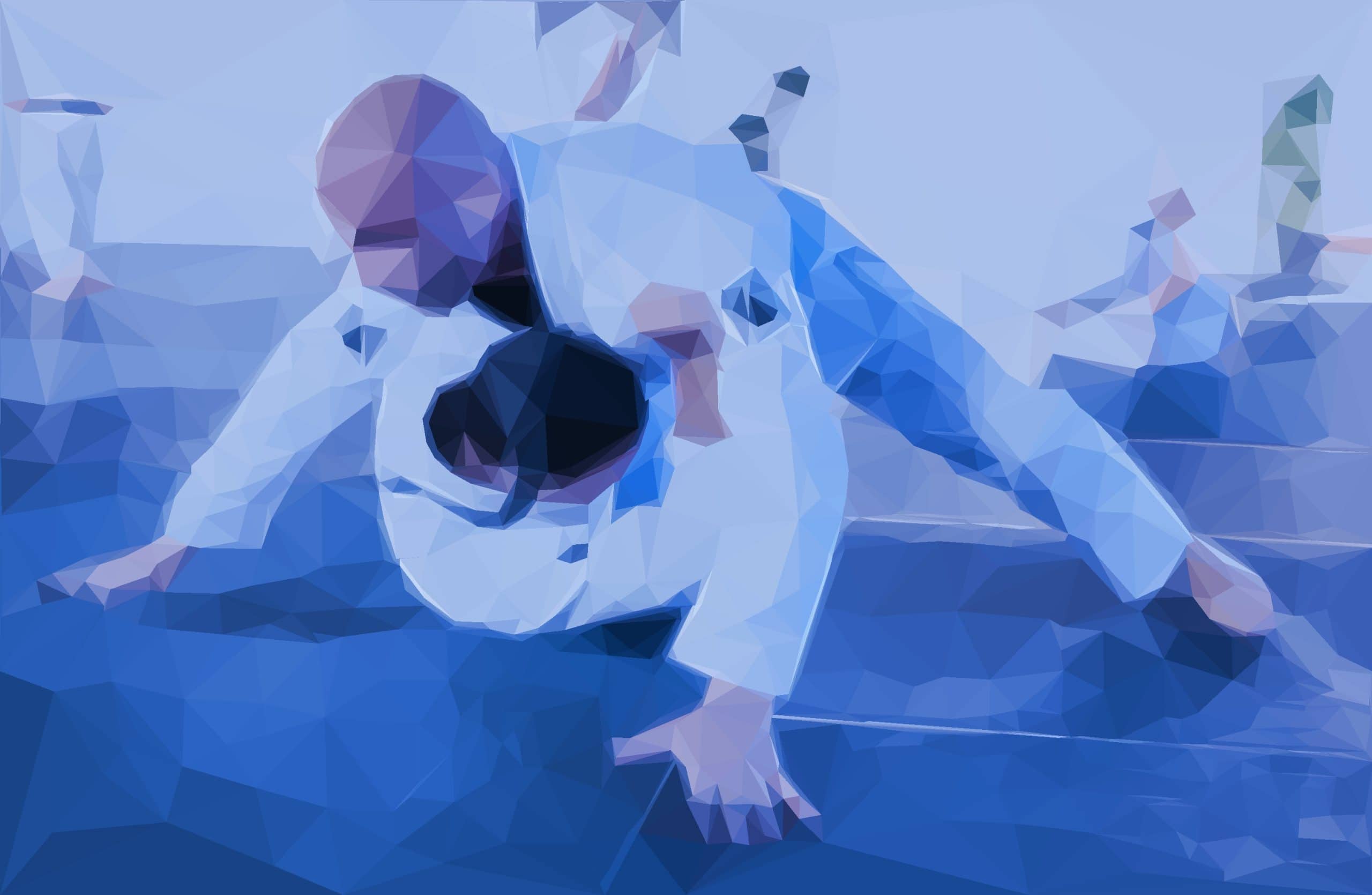 Classes – Apex MMA, Muay Thai & Jiu-Jitsu